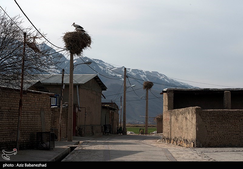 تمرکز بر توسعه گردشگری در 2800 روستای لرستان - تسنیم
